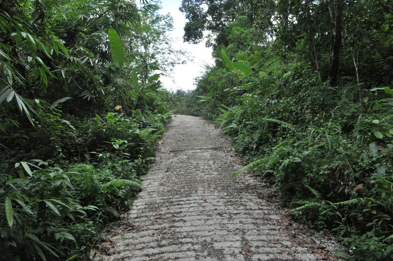 Cemperai Sari Resort