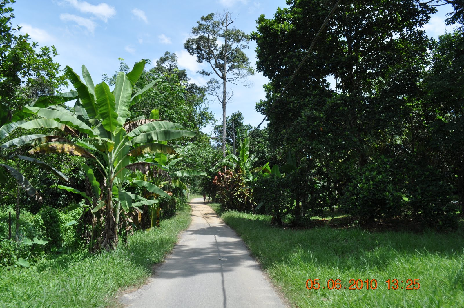 Cemperai Sari Resort