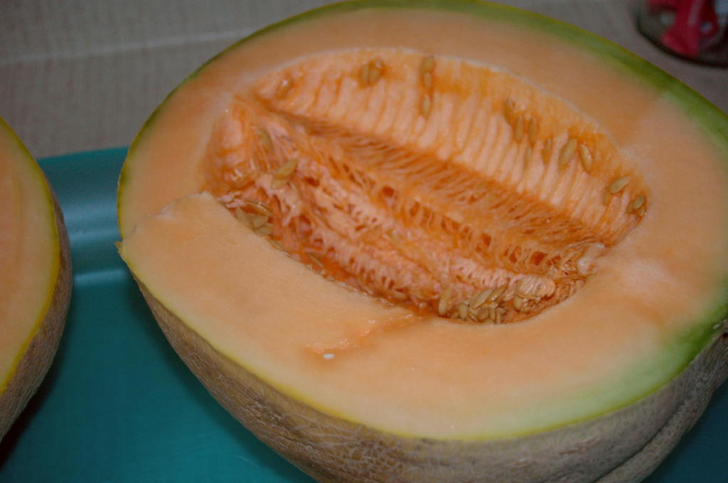 LAWN TEA: DECKER MELONS