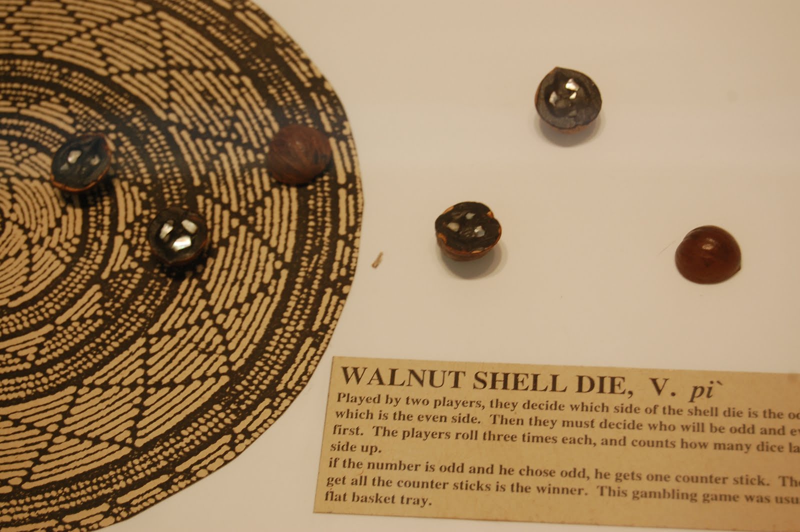 Ancient Hearth: Chumash Field Trip