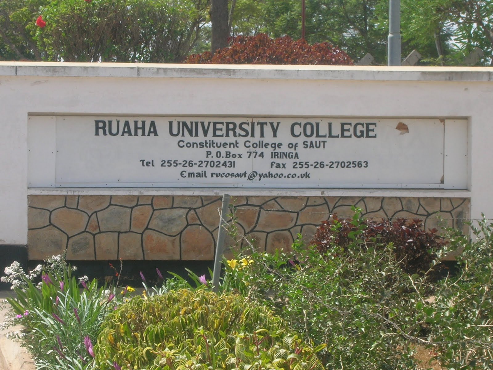 UNIVERSITY STUDENTS IN TANZANIA: RUAHA University in Iringa