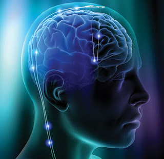 Brain and memory training: Mnemonic Techniques and Specific Memory ...