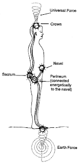 I Was Just Wondering: Are you in touch with your Hui Yin?