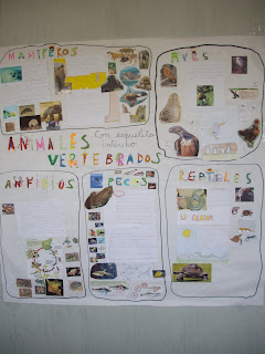 Nuestra andadura en Primaria: Trabajos/murales del tema de los animales