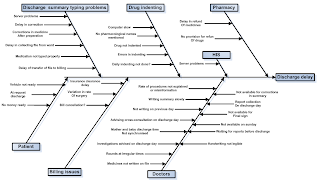 Enabling better healthcare: What a fishbone can do for your patients?
