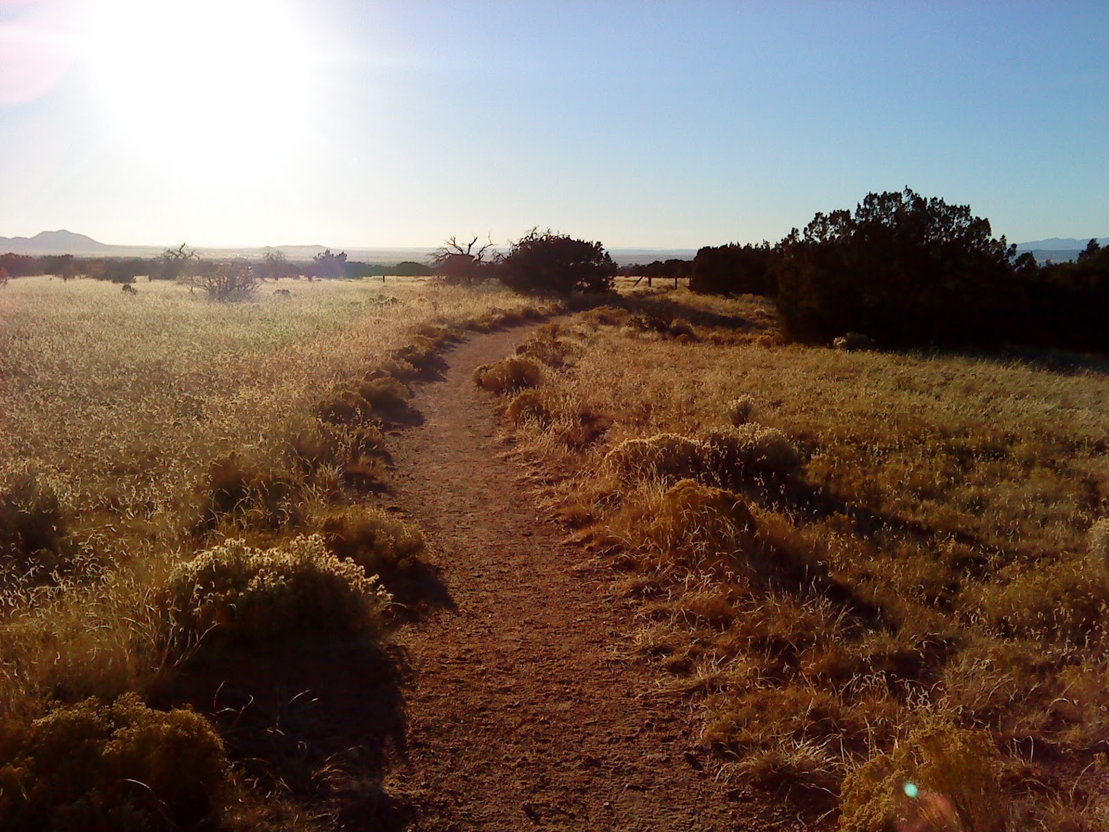High Desert Dirt: Spur Trail Out and Back - Santa Fe