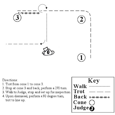 Showmanship Patterns: Pattern 17, Novice
