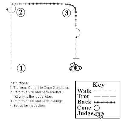 Showmanship Patterns: Pattern 33, Intermediate