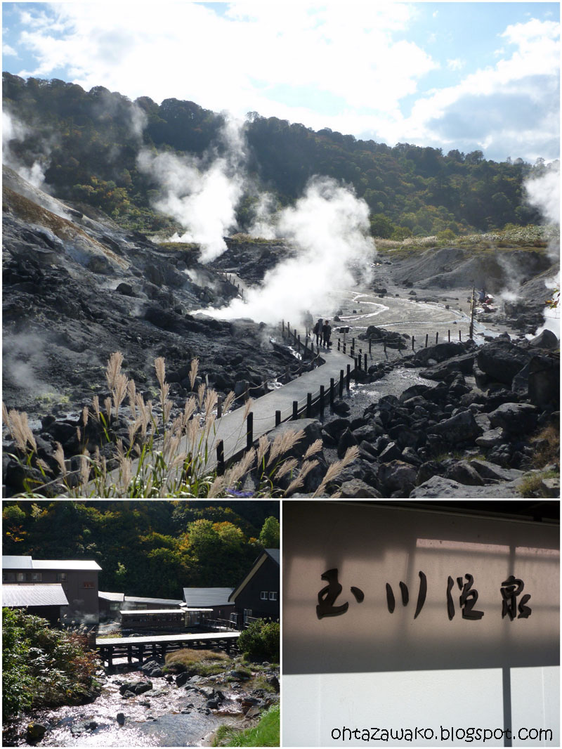 OH TAZAWAKO WHERE ART THOU?: Tamagawa Onsen's Headspring:Ohbuki