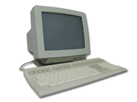 RINALDO COMPUTER: AS400, WORKSTATION DAN DUMB TERMINAL