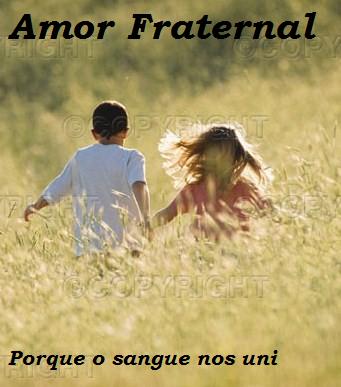 Amor fraternal - Imagui