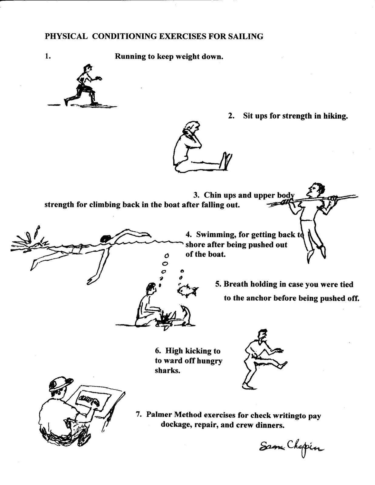 How to Sail the Laser: LASER PERFORMANCE ANALYSIS