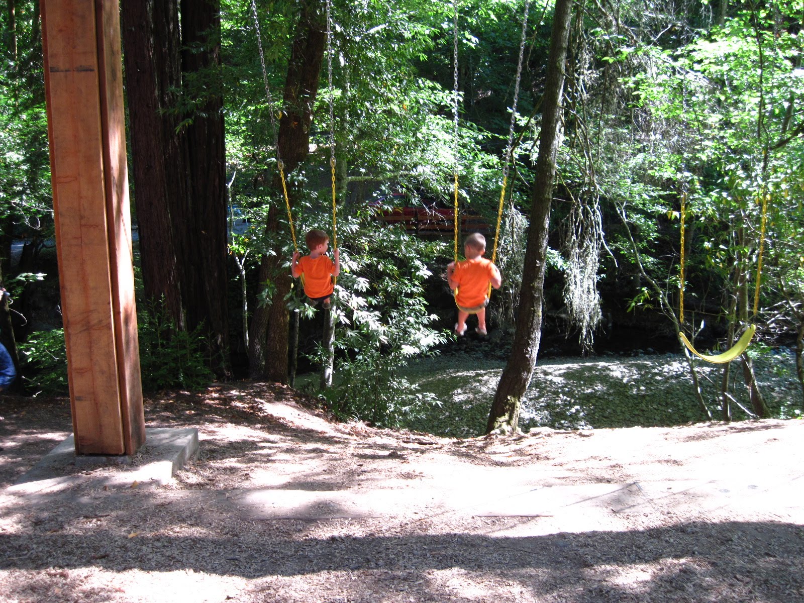 Scharf family: Alliance Redwoods