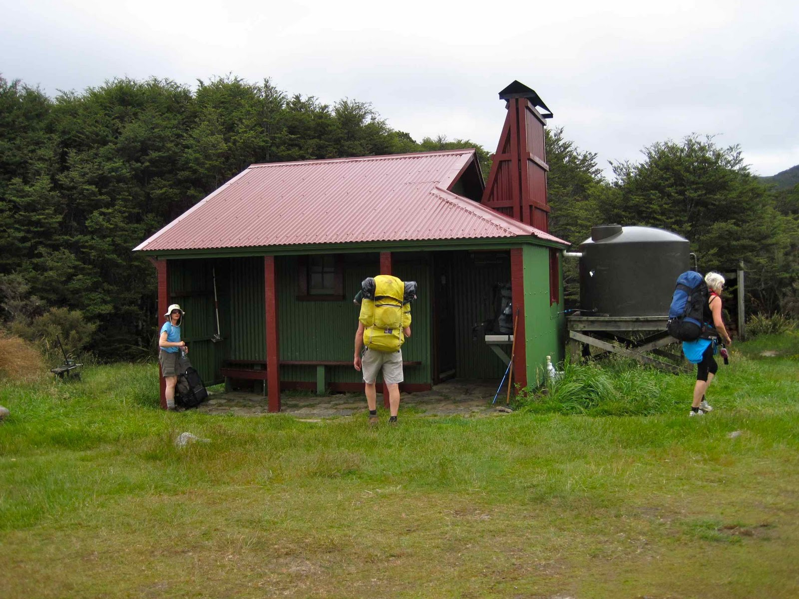 Carolyn in Aotearoa: Heaphy Track, Day Two: Perry Saddle Hut to Saxon ...