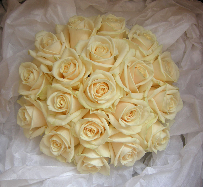 Wedding Flowers Blog: Penelope's Autumn Wedding Flowers,Rhinefield House