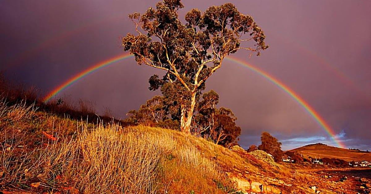 Descargando la Memoria/Unloading the Memory: Rainbow Through The ...