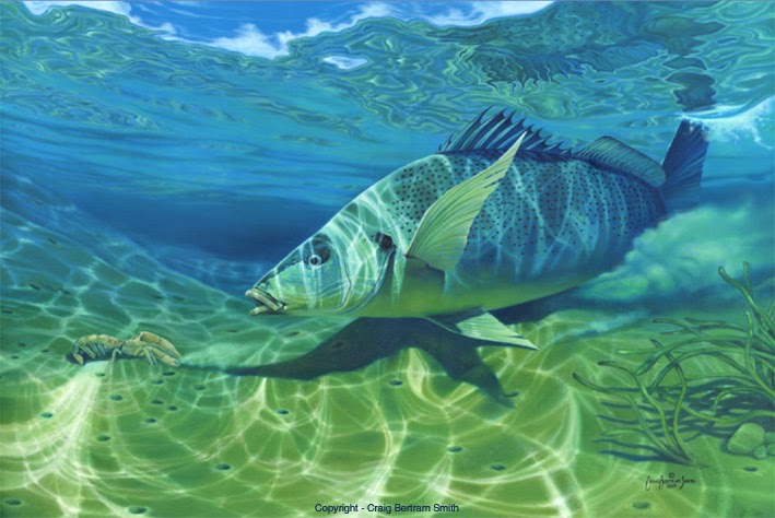 born to fly fish: The Ultimate Challenge-Spotted Grunter (Pomadasys ...