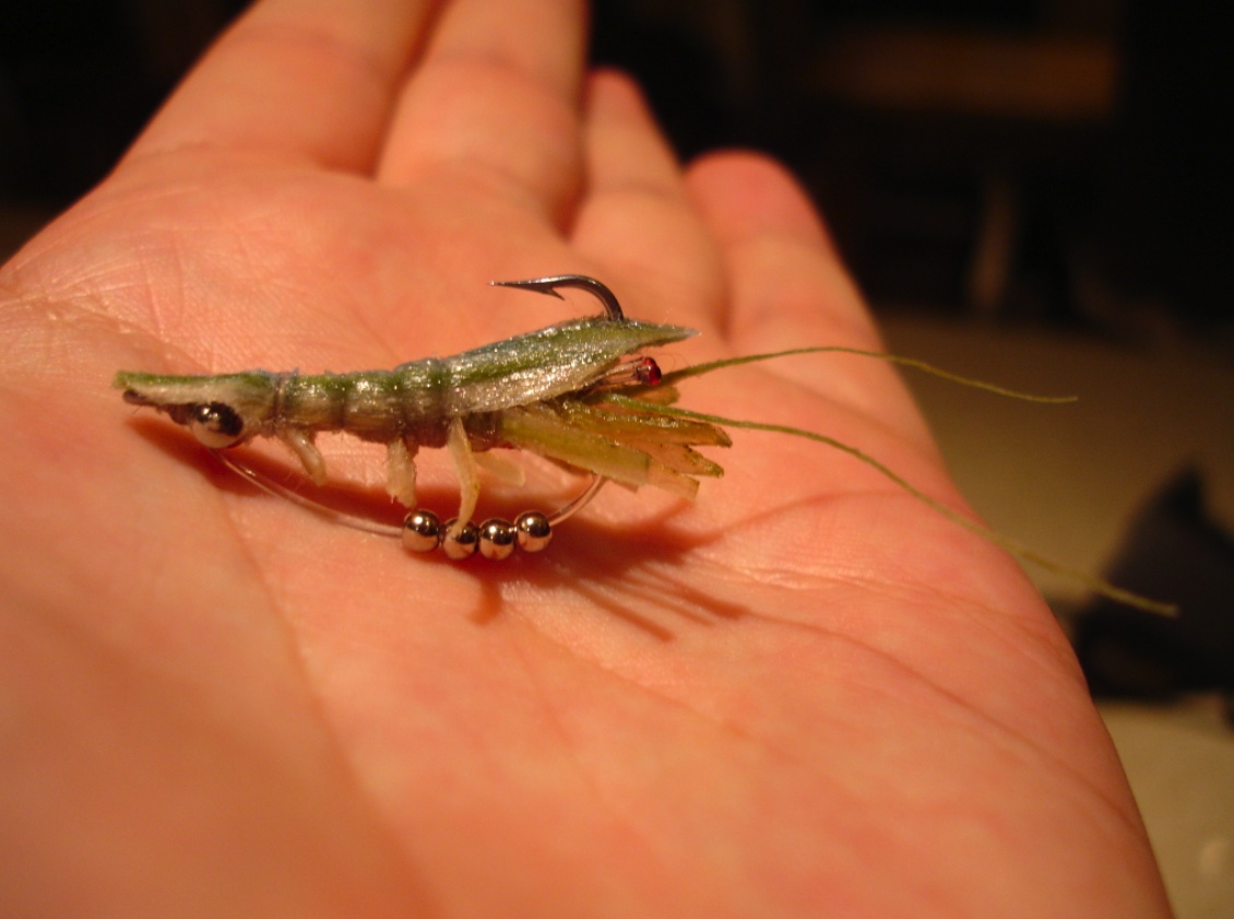 born to fly fish: The Silicon Prawn Avalon