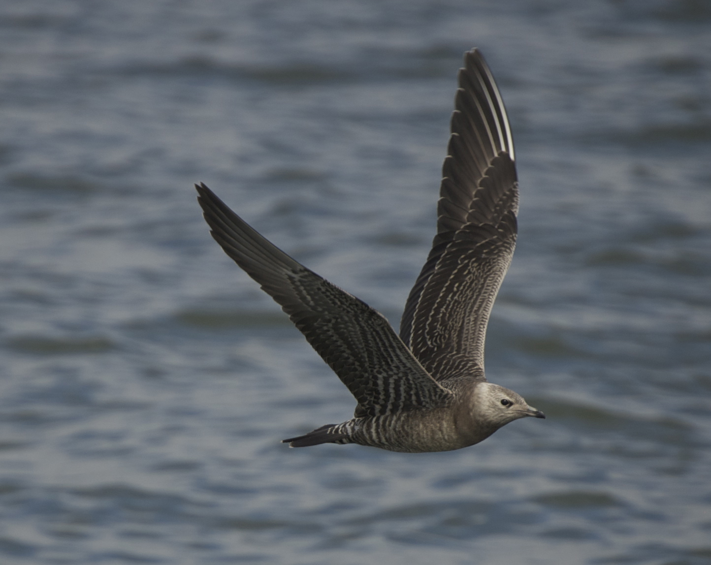 Not necessarily in that order.: Jaeger