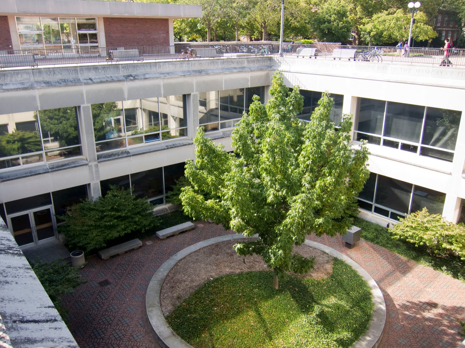 Corn fields inspire underground library