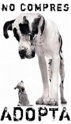 HOGAR OSVALDO VIGNAU Un ejemplo de inmenso Amor a la VIDA