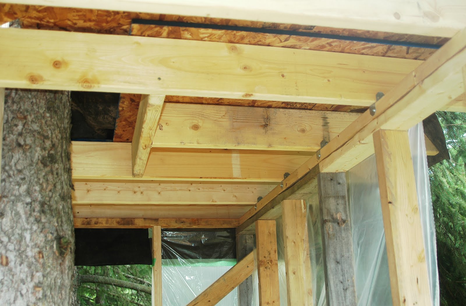 Rudi and Alexander's Tavistock Treehouse: Wall Framing and Second Floor ...