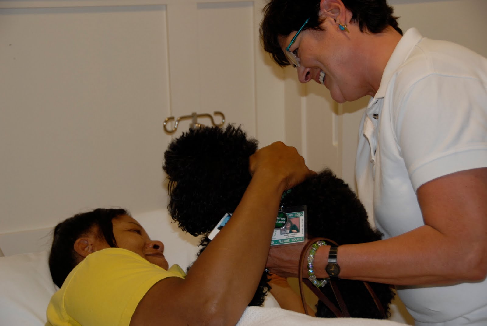 National Capital Therapy Dogs (NTCD) Blog