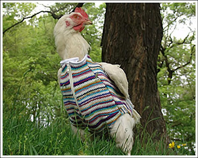 Fun Crawler: Chickens in clothes