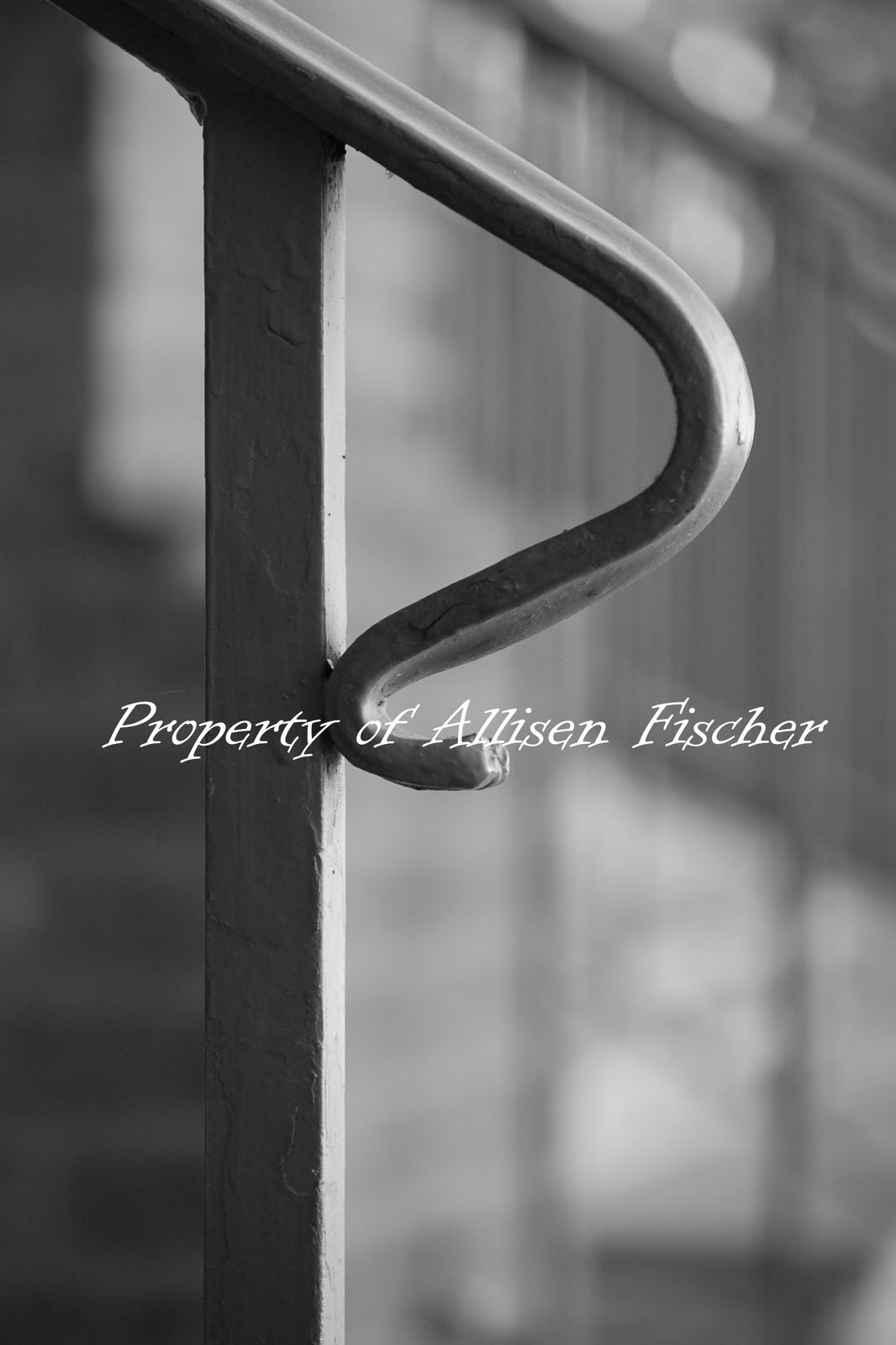 Lettography (Letter Photography): P