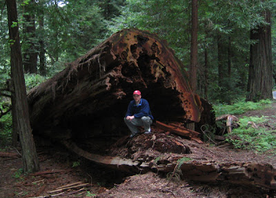 The 22 Seven: The SoCal/NorCal Divide