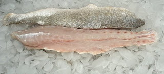 Export Suriname Products: Acoupa greyfish/Grey snapper