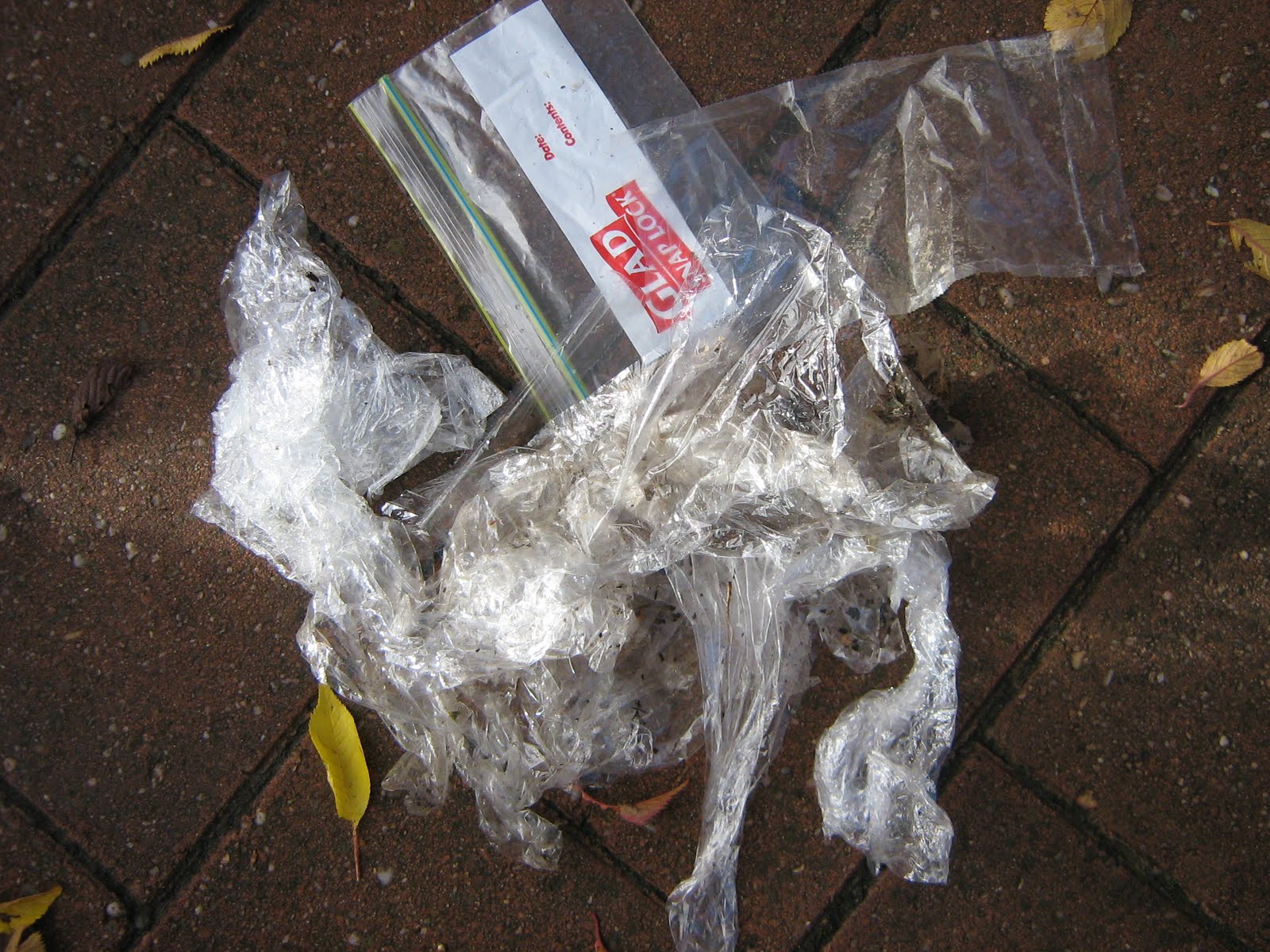 Room 9 you shine all the time: A real rubbish investigation