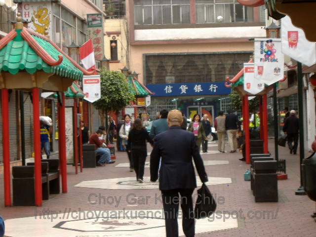 Choy Gar Kuen Chile Kung Fu Tradicional: Choy Gar/ Hung Gar en Perú