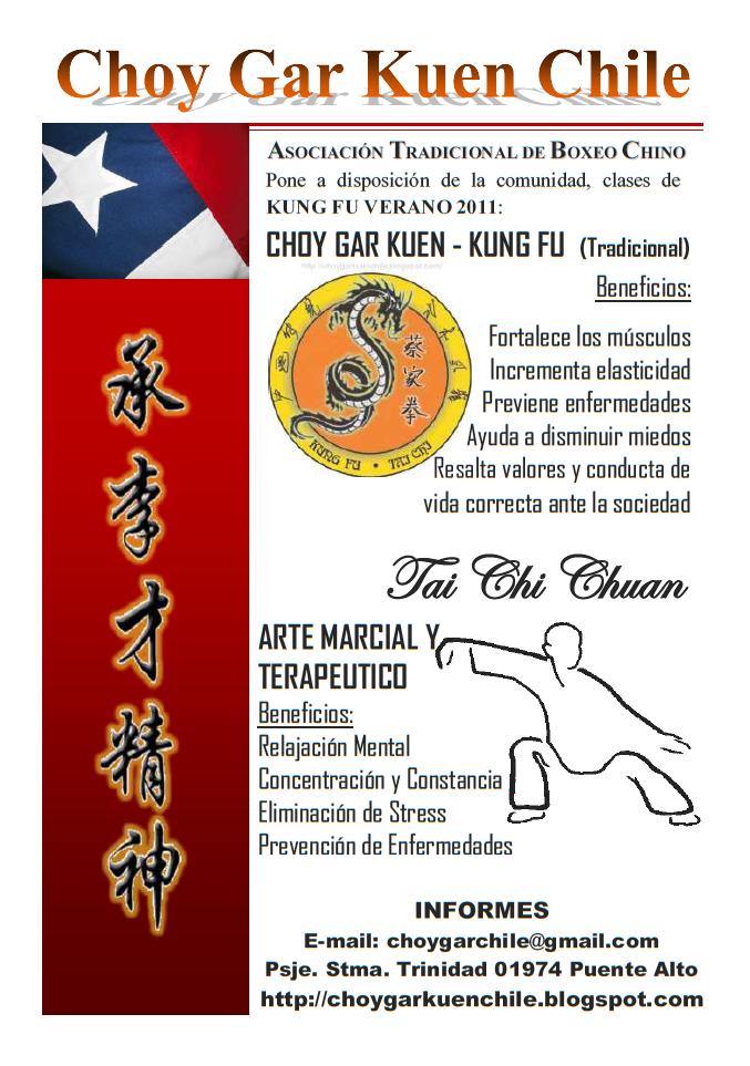 Choy Gar Kuen Chile Kung Fu Tradicional