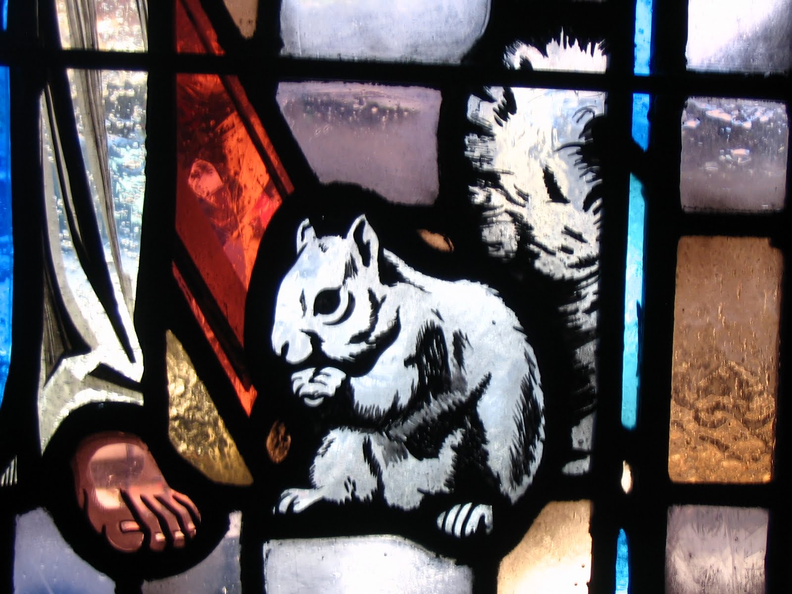 New York City Squirrel: Found Squirrels: Squirrel of Squirrels