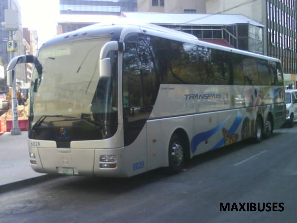 MAXIBUSES: TRANSPAÍS TURISMO (TURISMO)