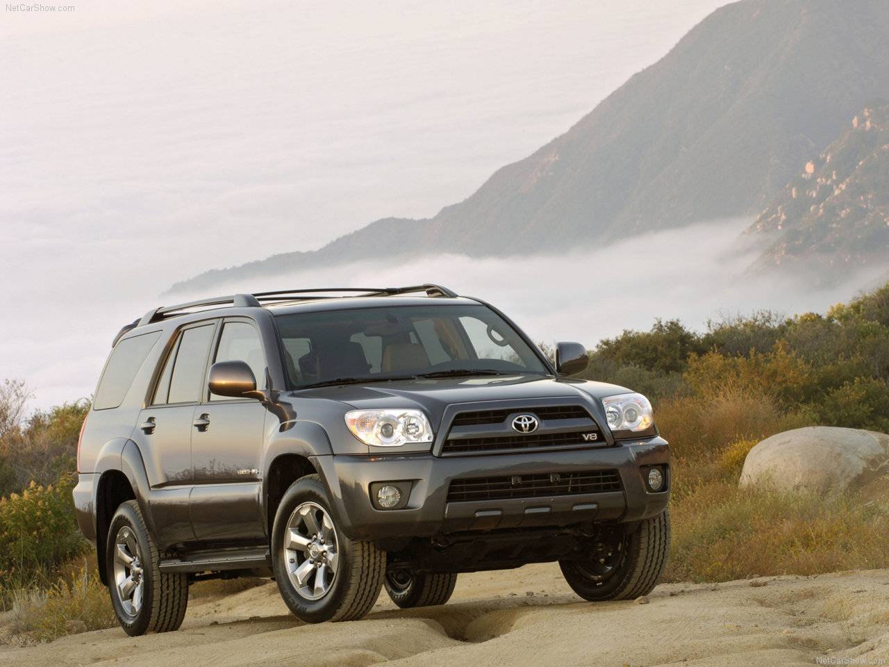 2009 Toyota 4Runner