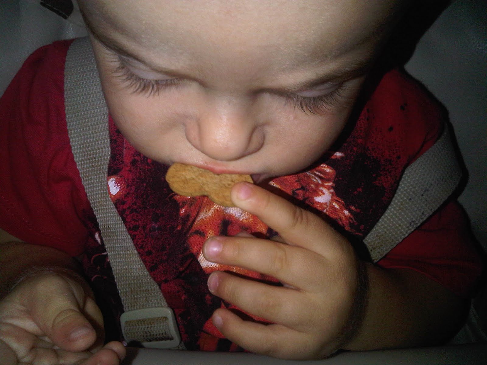 My Wholesome Home: Review and Giveaway: ShaSha Bread Co.