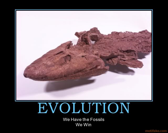 Teaching evolution in a geology class... ~ Hudson Valley Geologist