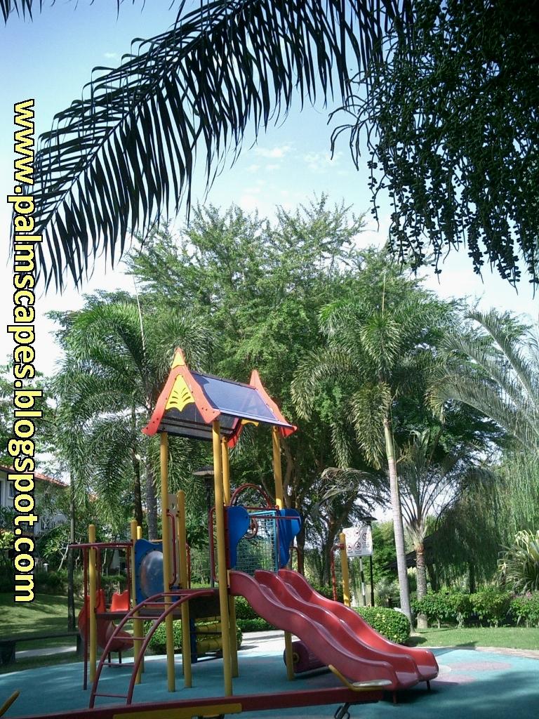 Playground Equipment Palm Tree at Valeria Sturm blog