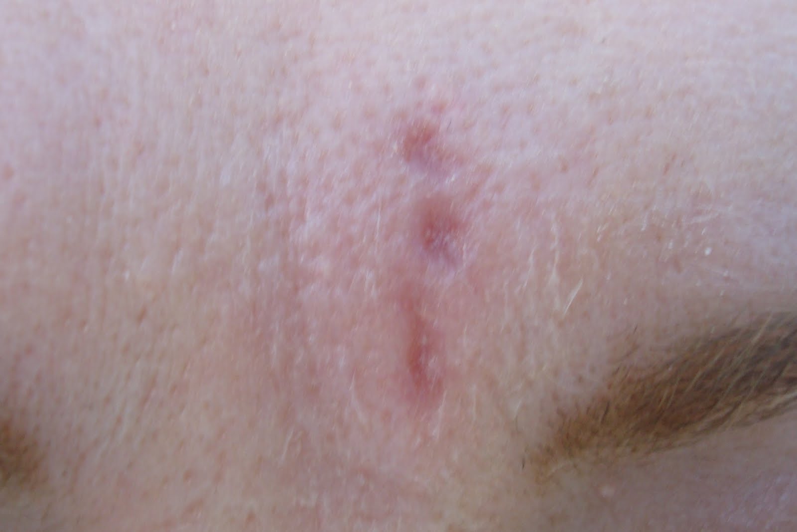 where the magic happens: My Spider Diary