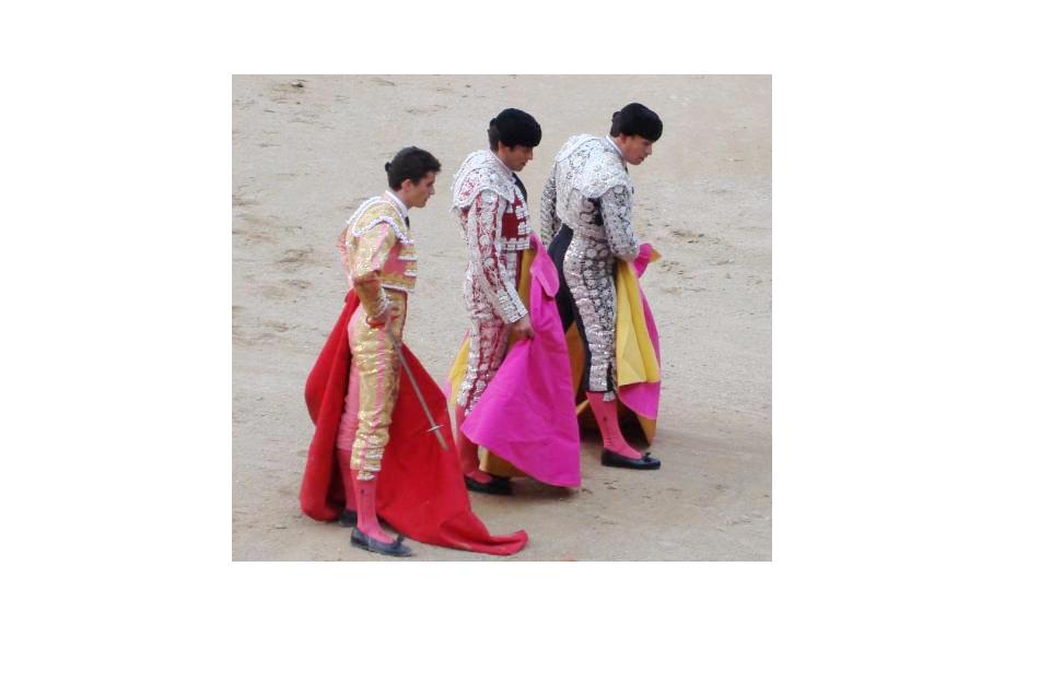 Del toro al infinito: LOS TOROS SE MUEREN / Por José Ramón Márquez