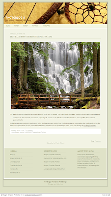 Blogger Buster: 12 Free Photoblog Templates for Blogger