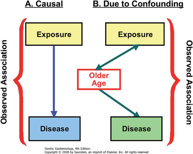 Protect Health Protect Life Associations Epidemiology