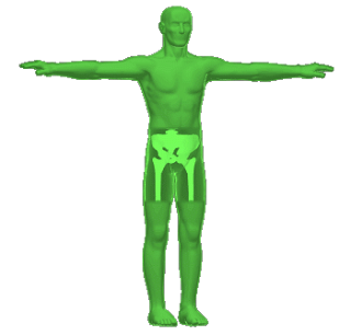 Kandace's Biology Blog: Green Human!!!! AHHHHHH! =P