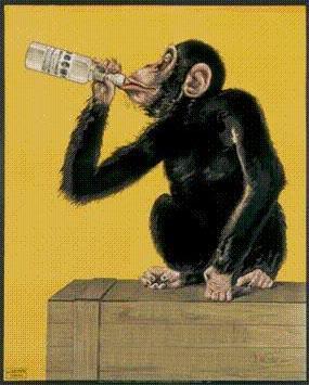 The American Cowboy Chronicles: Tale Of A Drunk Monkey