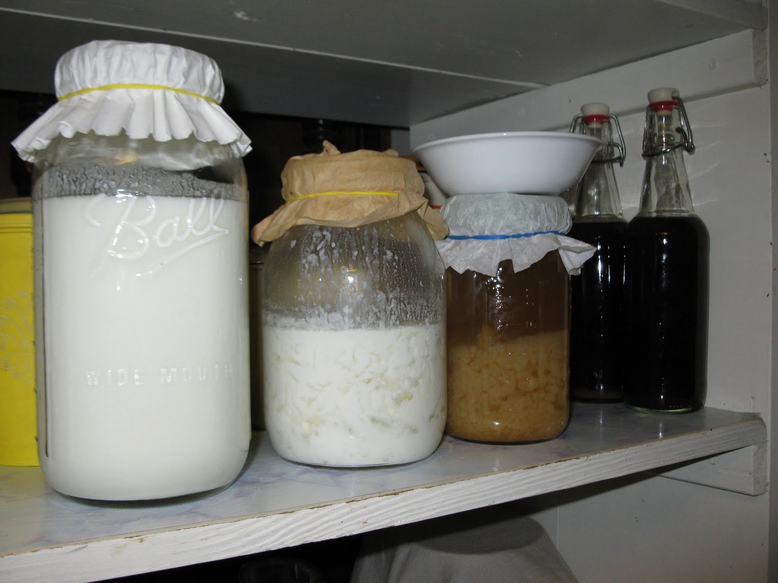 Simply Homemaking: Kefir - Chapter 10