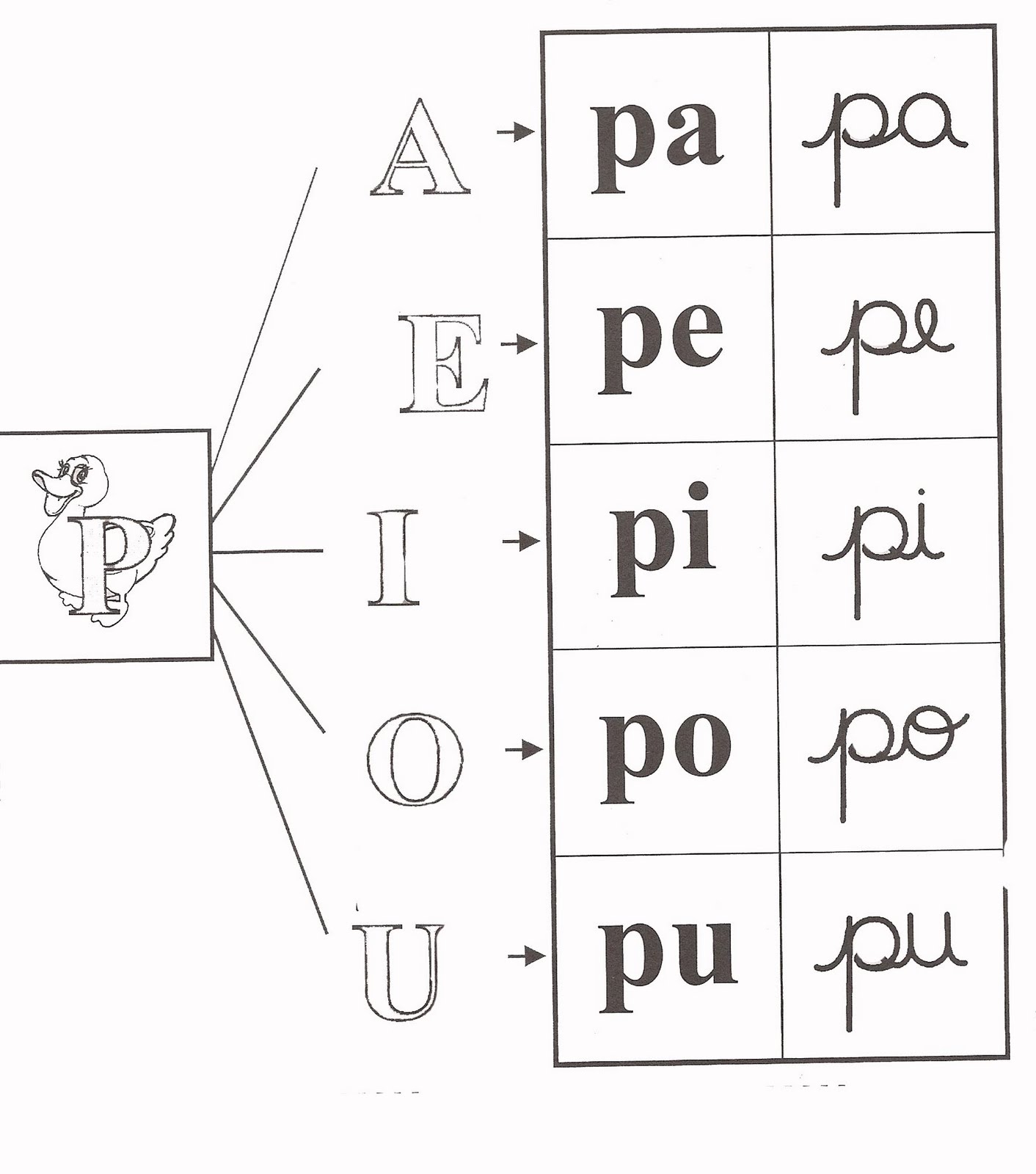 CAIXA DE LETRAS A B C: Atividades coma letra P