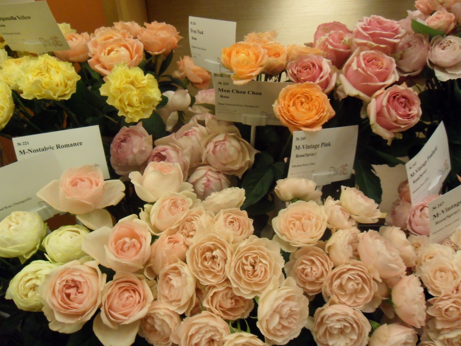 Craftiness NOW: A Japanese Flower Show