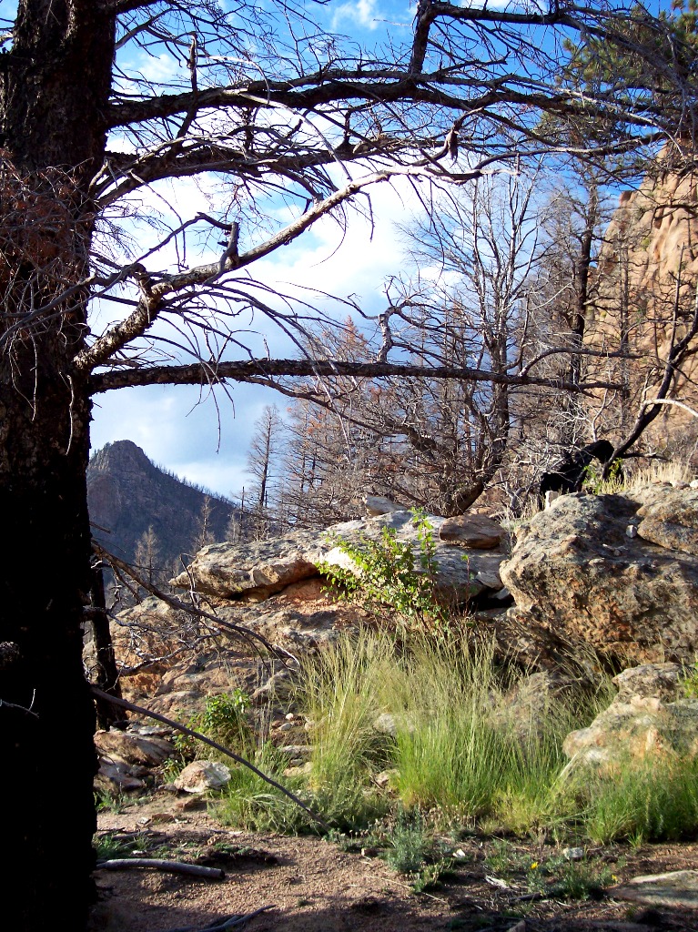 Colorado Earth Science: Topaz Crystals from the Petra Placer, Tarryall ...